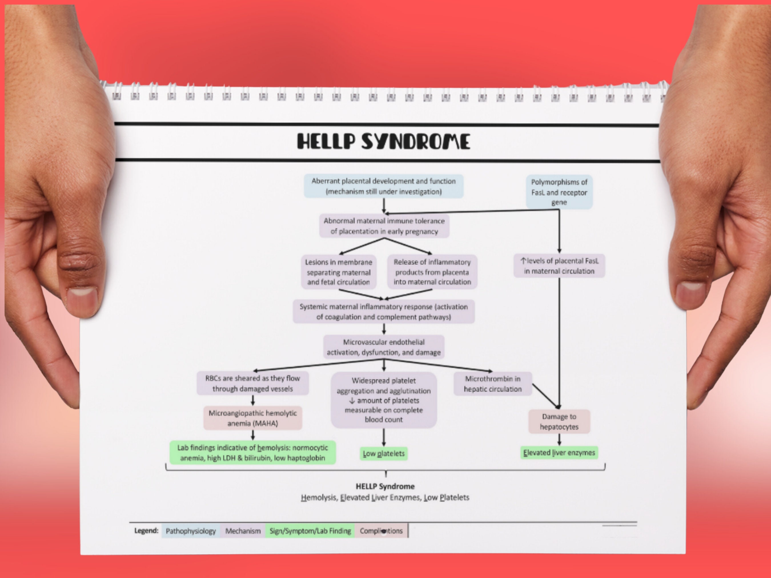 39 Hematology Pathophysiology Nursing Concept Map Disease ...