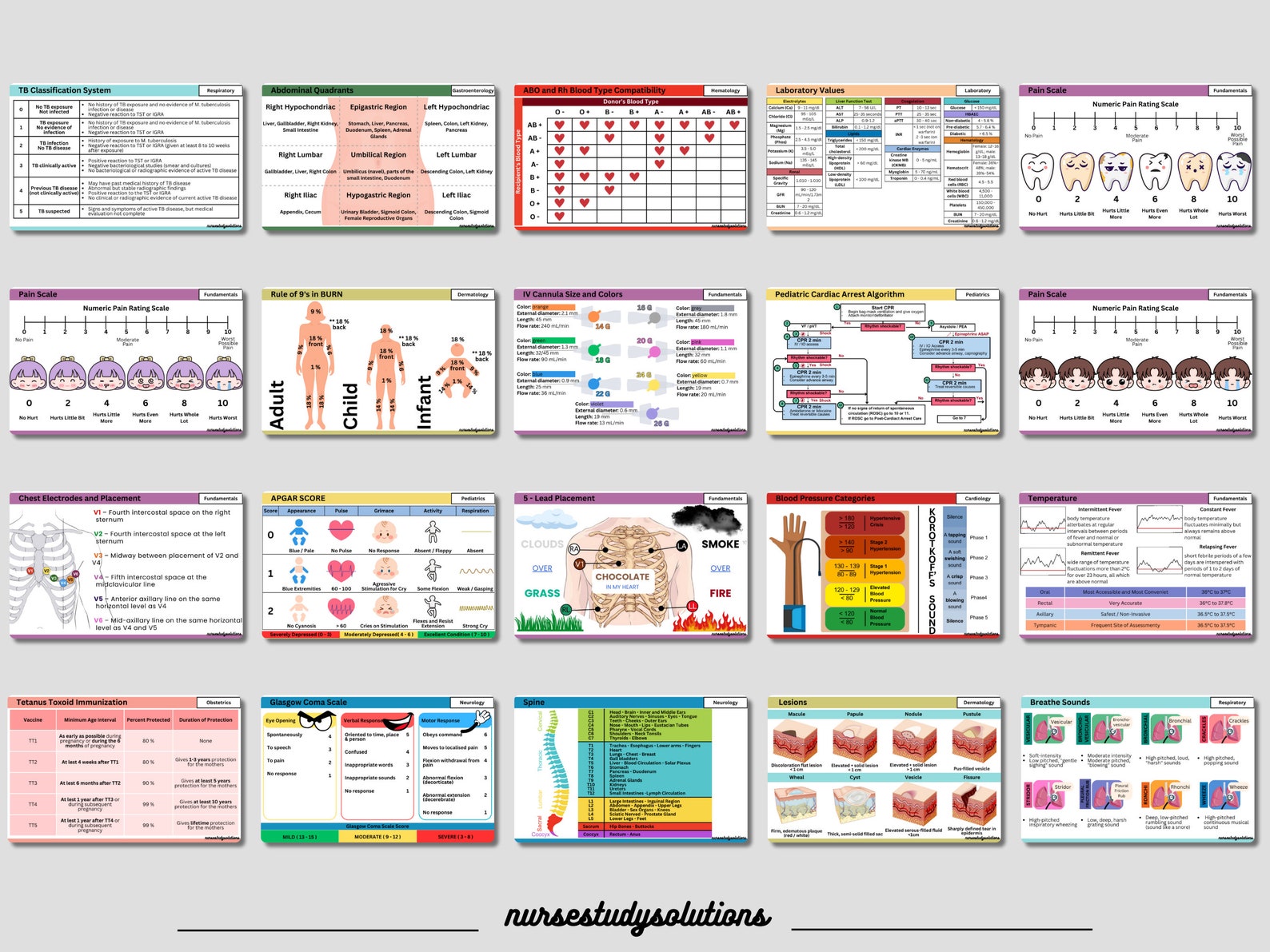 Set of 30 Complete Nurse Reference Badge Card Pack RN Pocket Cards ...