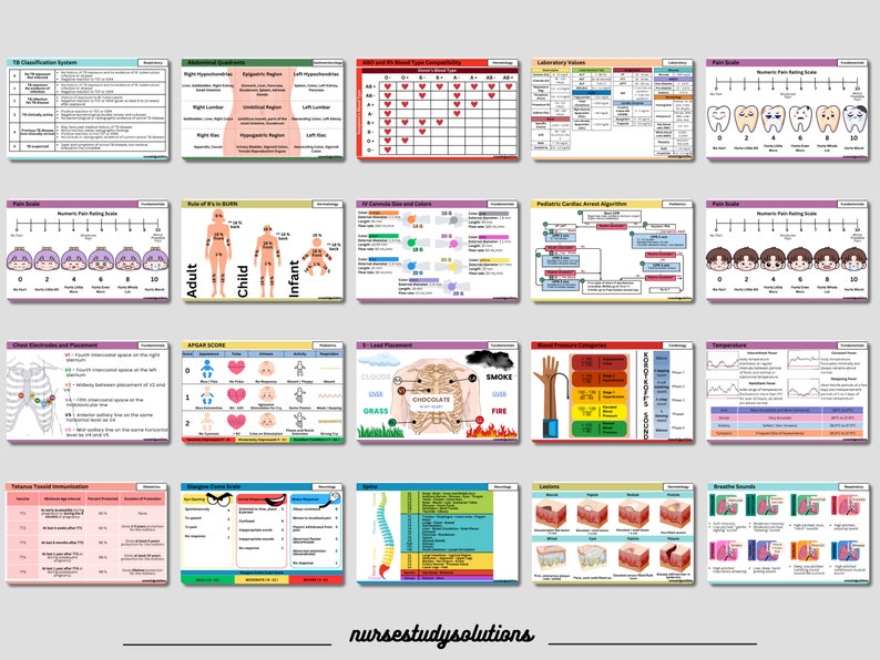 Set of 30 Complete Nurse Reference Badge Card Pack RN Pocket Cards ...