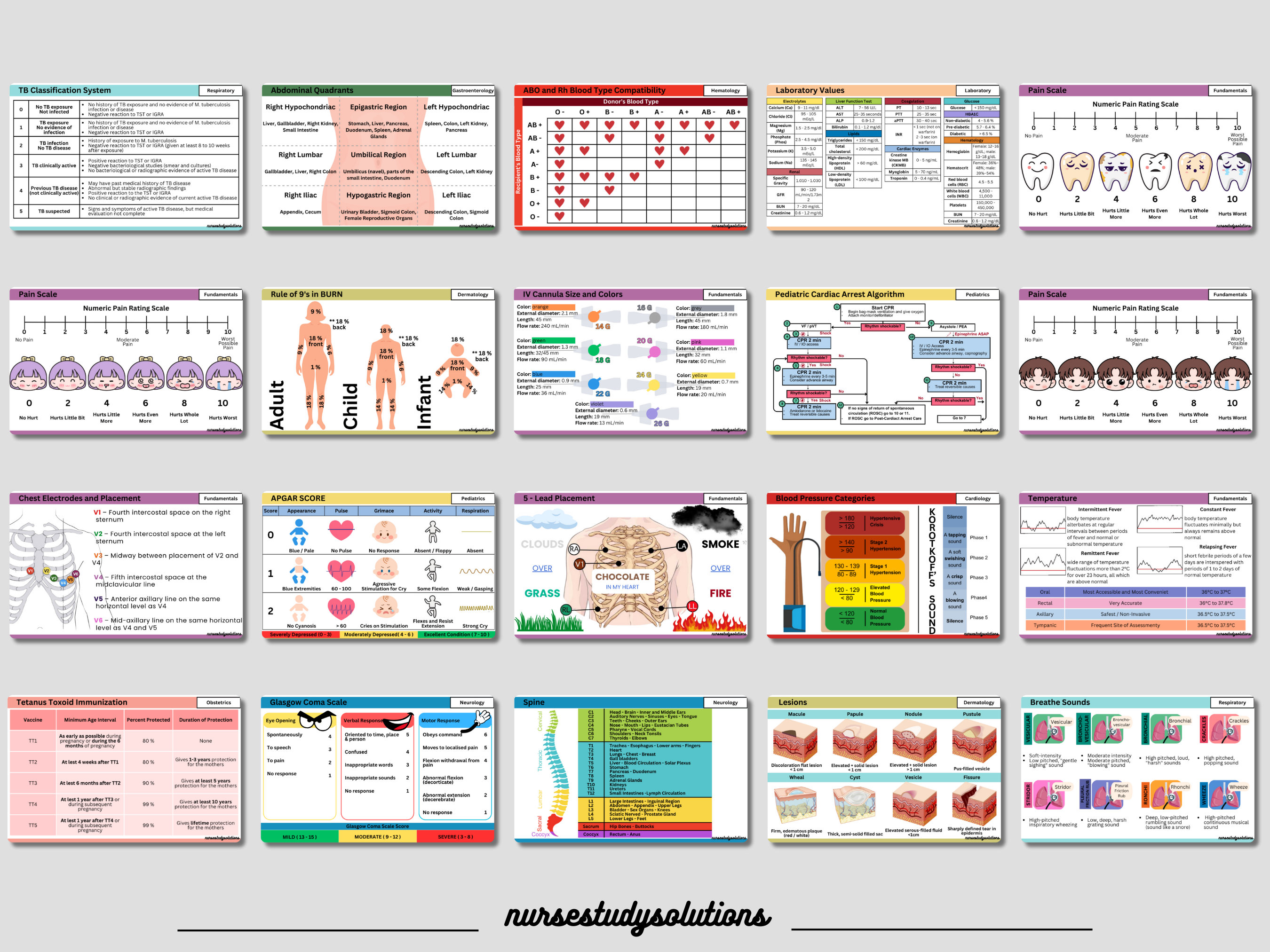 Set of 30 Complete Nurse Reference Badge Card Pack RN Pocket Cards ...