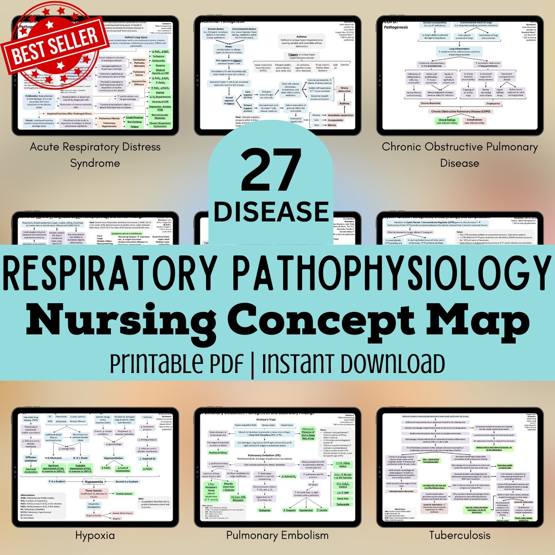 27 Respiratory Pathophysiology Nursing Concept Map Diseases ...
