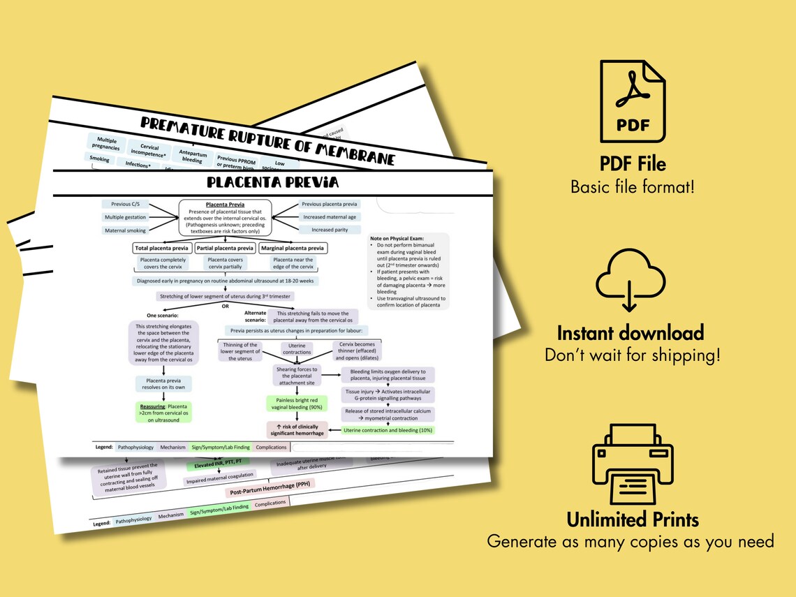 25 Pediatrics Pathophysiology Nursing Concept Map Disease ...