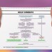 26 Opthalmology Pathophysiology Nursing Concept Map Diseases Pathophysiology Study Guide Nursing ...