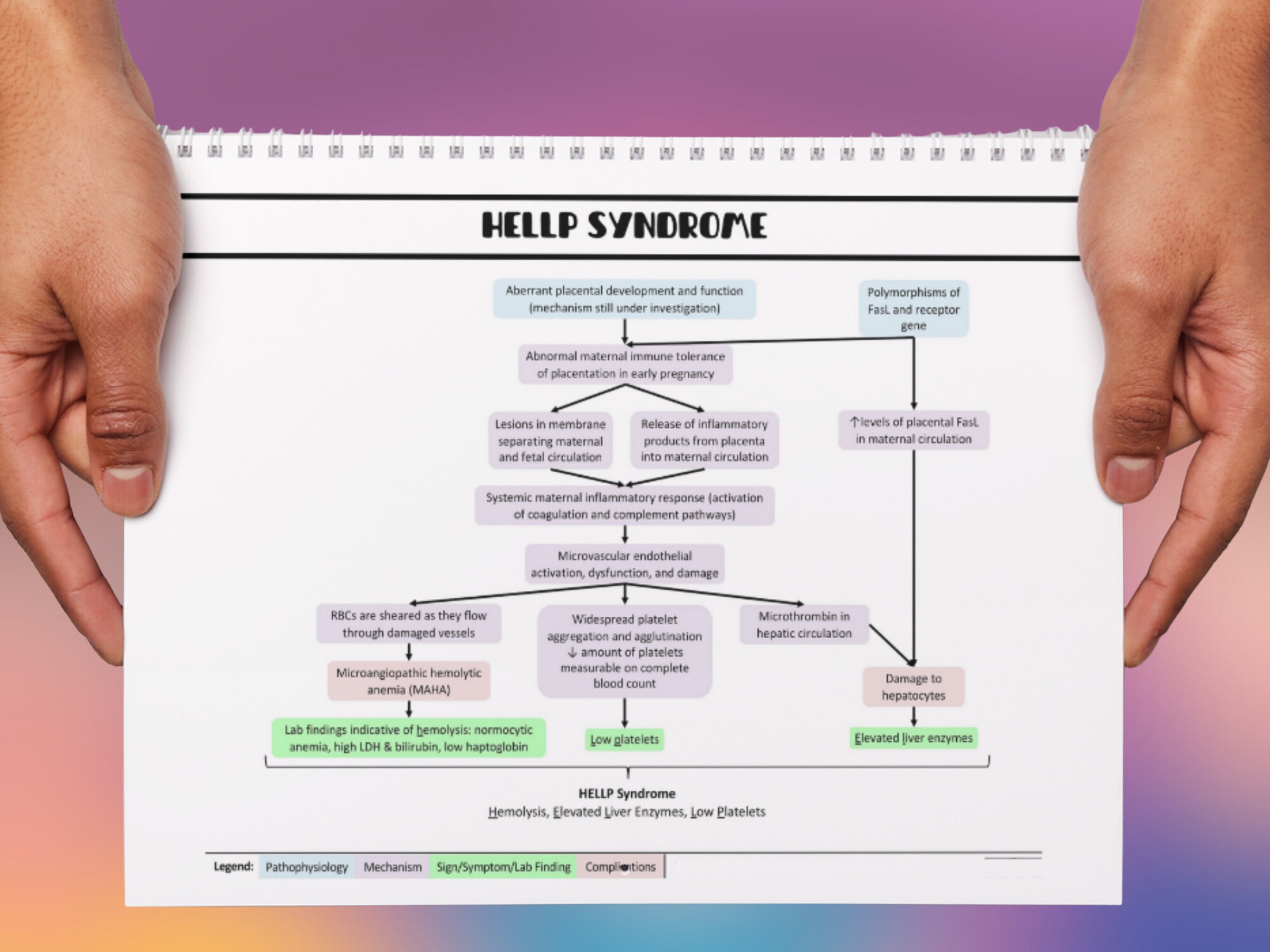 26 Opthalmology Pathophysiology Nursing Concept Map Diseases Pathophysiology Study Guide Nursing ...