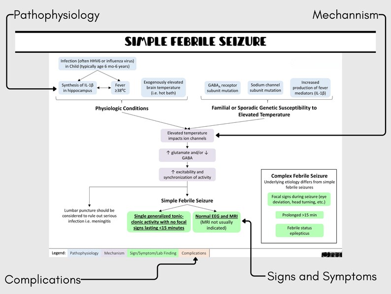 Obstetrics Pathophysiology Pediatric Pathophysiology Bundle Nursing ...