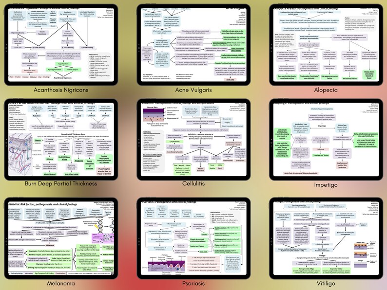 45 Dermatology Pathophysiology Nursing Concept Map Diseases ...