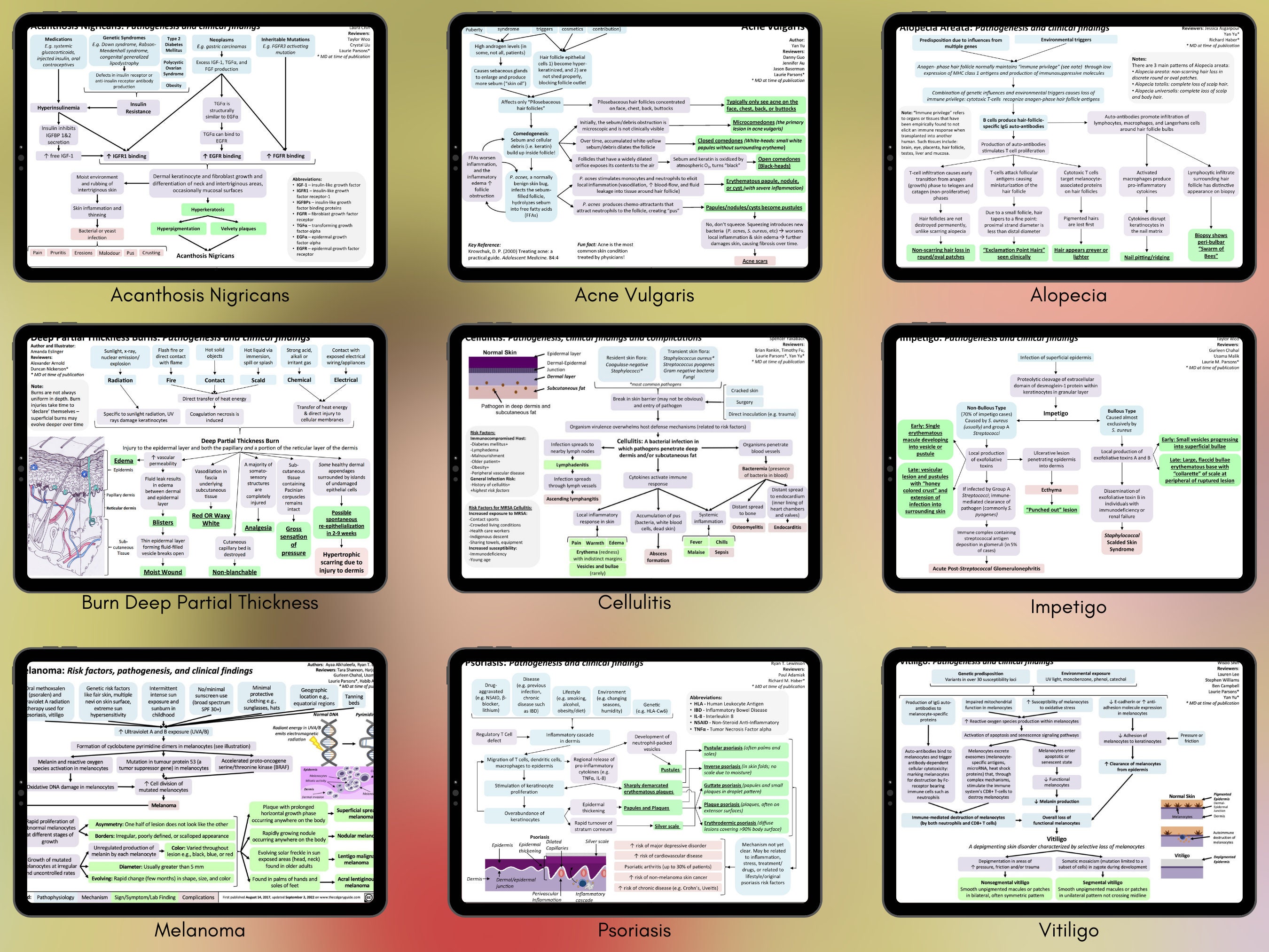 45 Dermatology Pathophysiology Nursing Concept Map Diseases Pathophysiology Study Guide Nursing ...