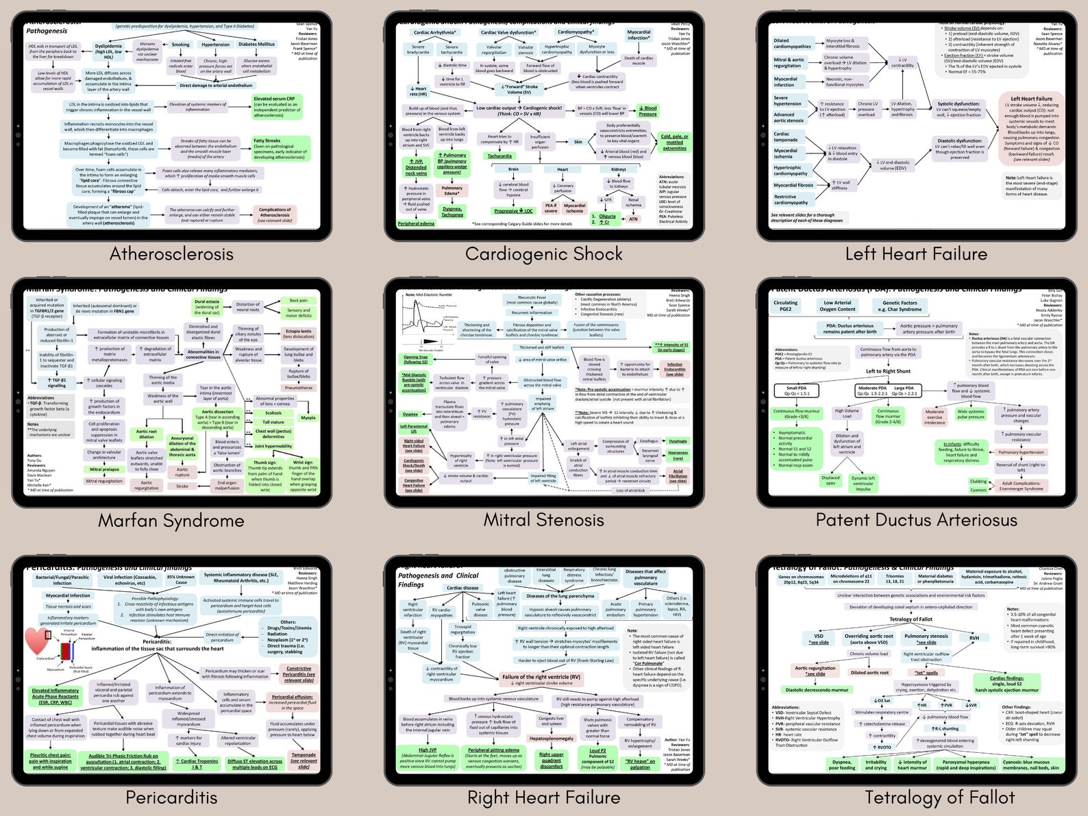 31+ Cardiology Pathophysiology Nursing Concept Map Disease ...
