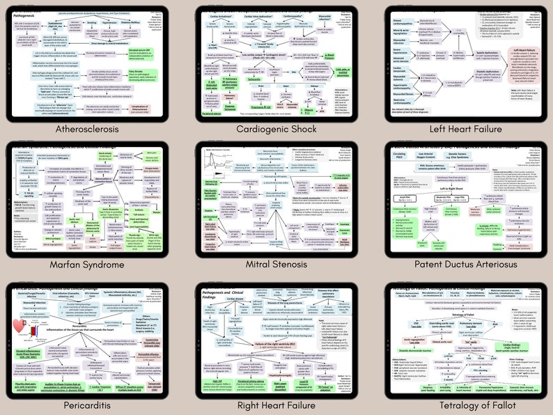 31+ Cardiology Pathophysiology Nursing Concept Map Disease ...