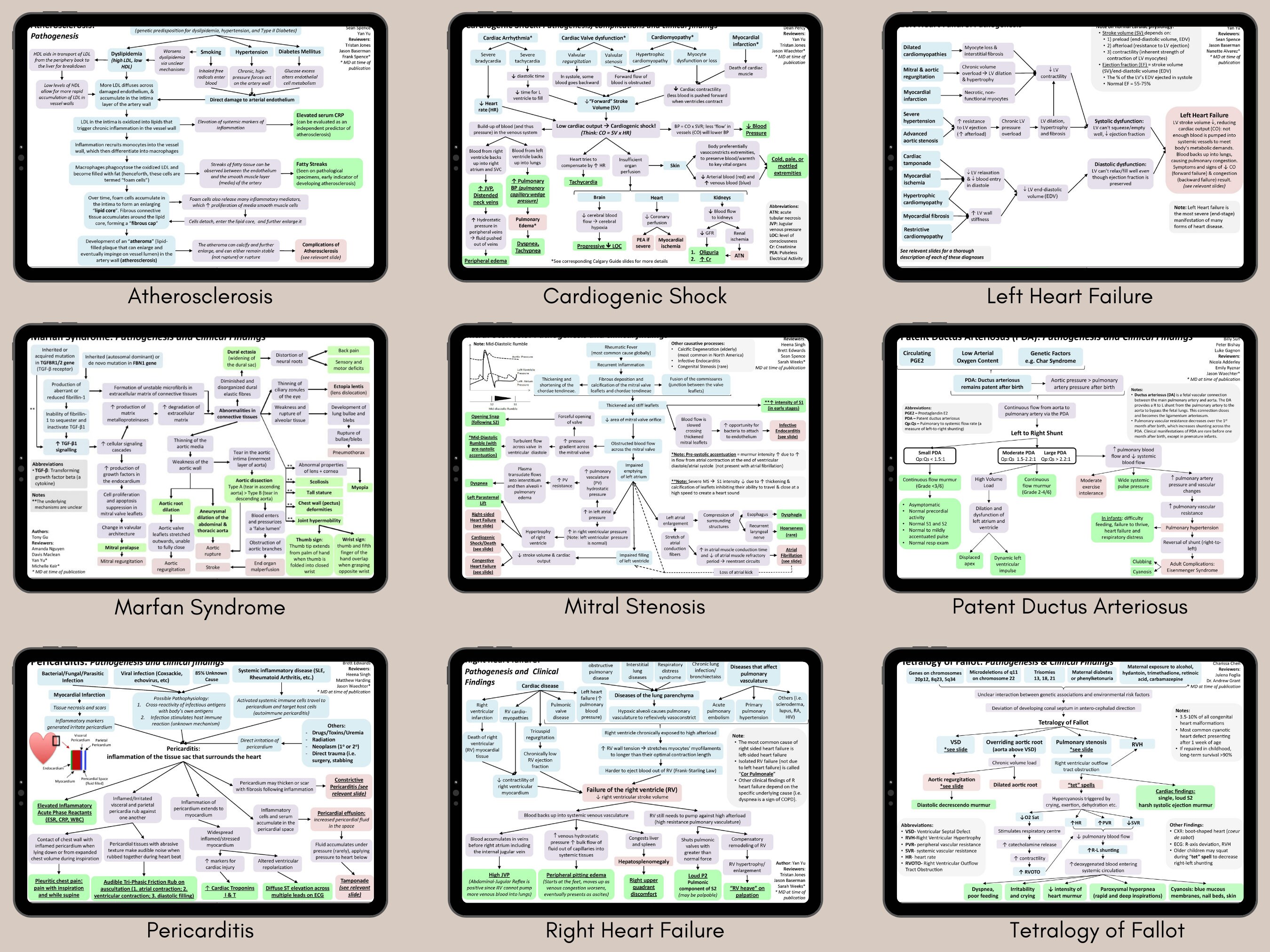 31+ Cardiology Pathophysiology Nursing Concept Map Disease ...