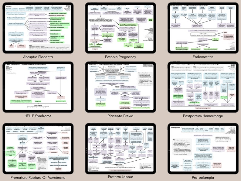 19 Obstetrics Pathophysiology Nursing Concept Map Diseases ...