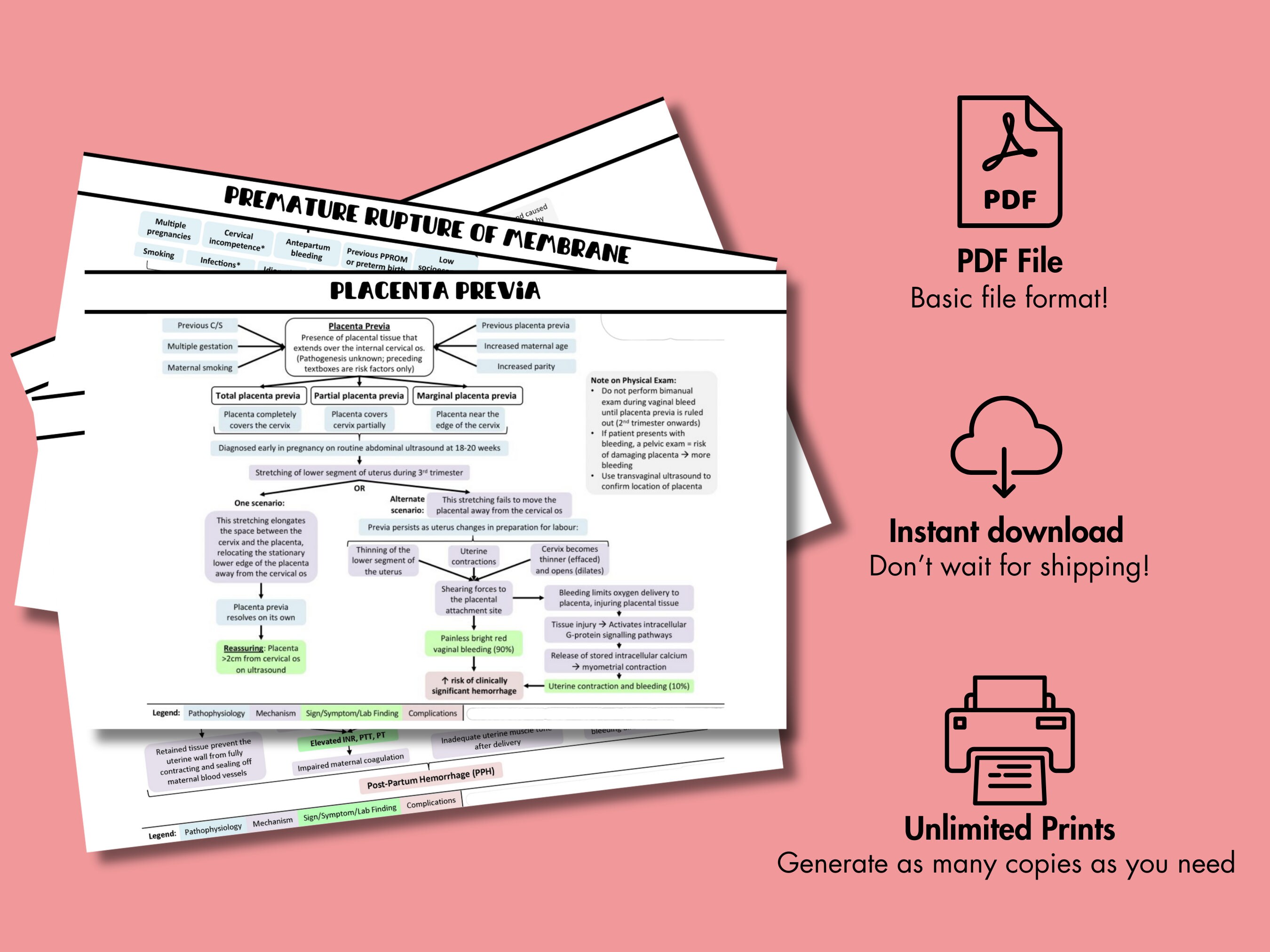 19 Obstetrics Pathophysiology Nursing Concept Map Diseases ...