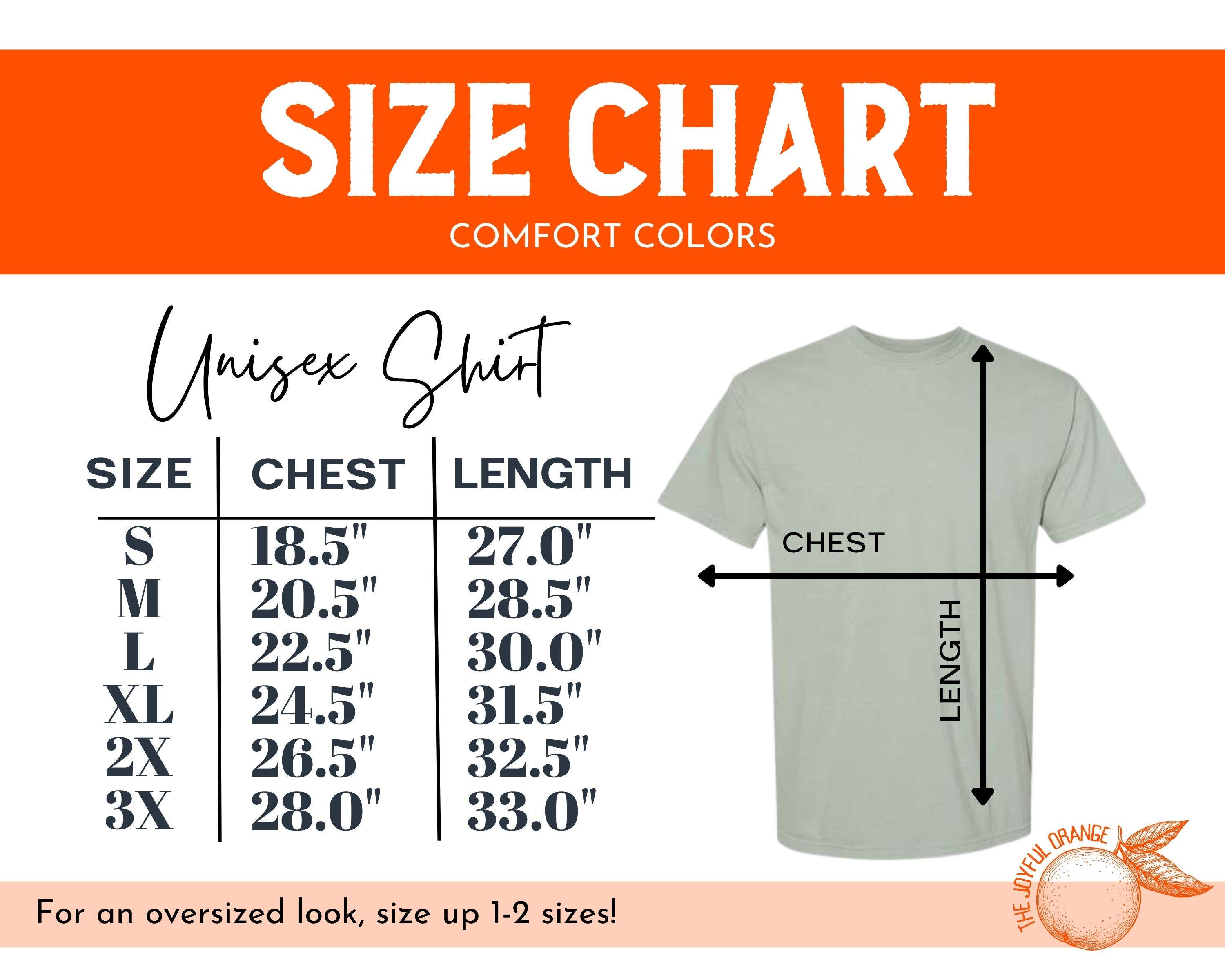 Western Armor of God Shirt, Christian Comfort Colors Shirt, Religious ...