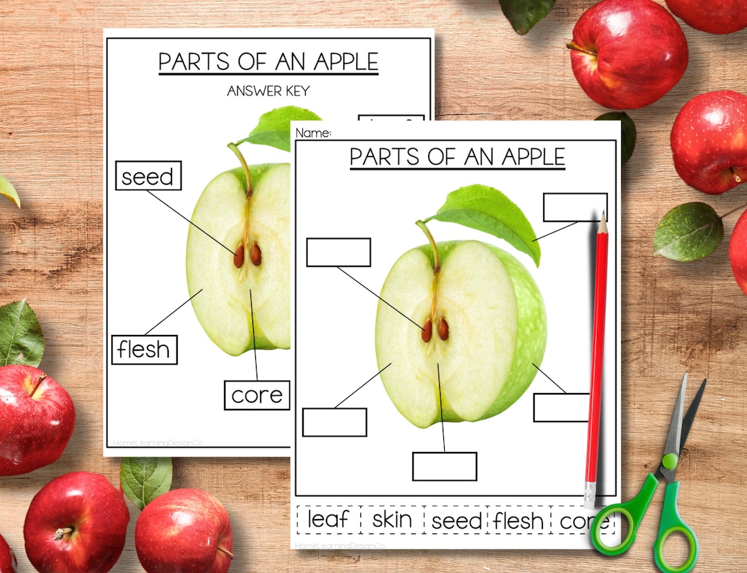 Montessori - Parts of an Apple - Labeling Worksheet & Answer Key ...