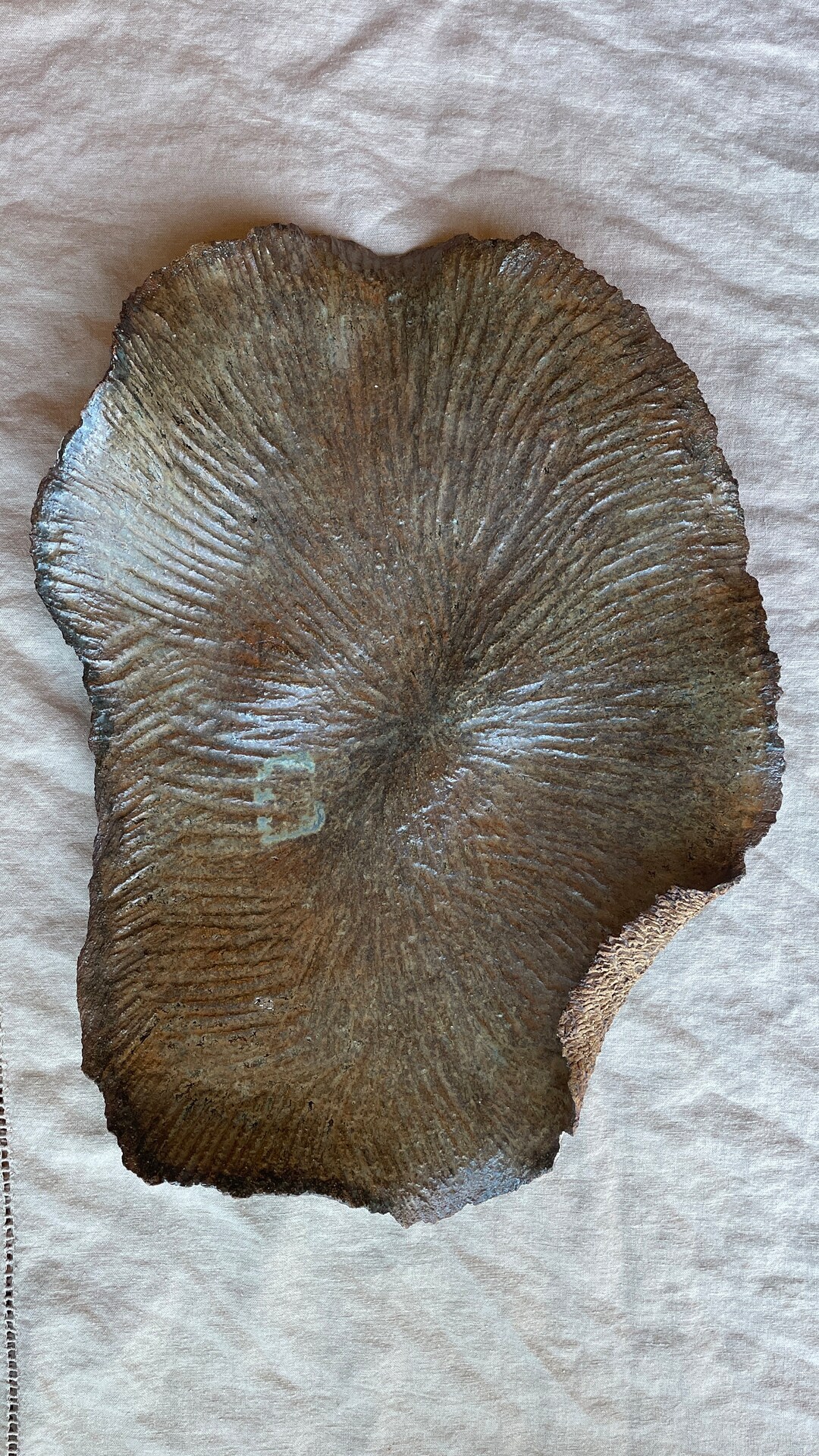 Rustic Field Clay Platter Dark Brown Organic Shaped Studio Piece - Etsy