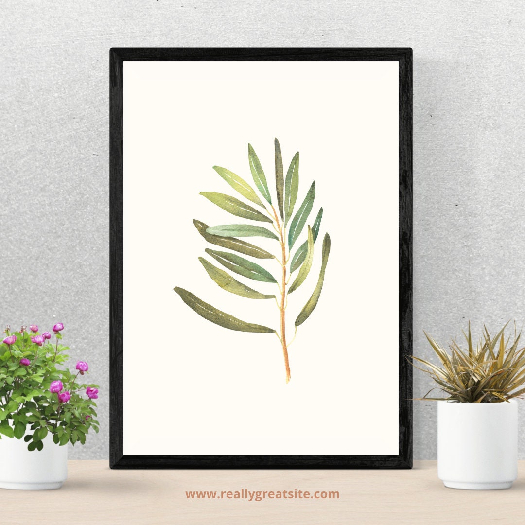 Olive Branch Art Print (three Sizes) - Etsy