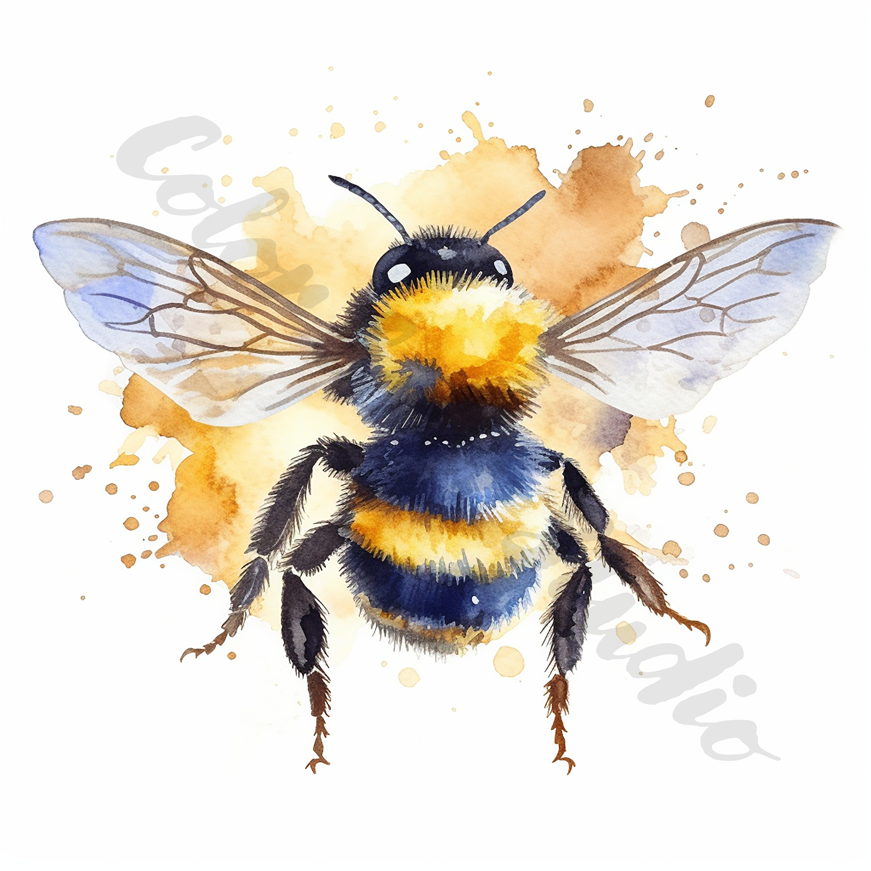 Watercolor Bumblebee Clipart 16 High Quality Pngs Digital - Etsy
