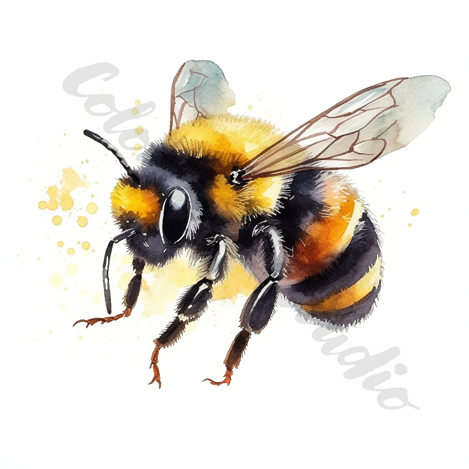 Watercolor Bumblebee Clipart 16 High Quality Pngs Digital - Etsy