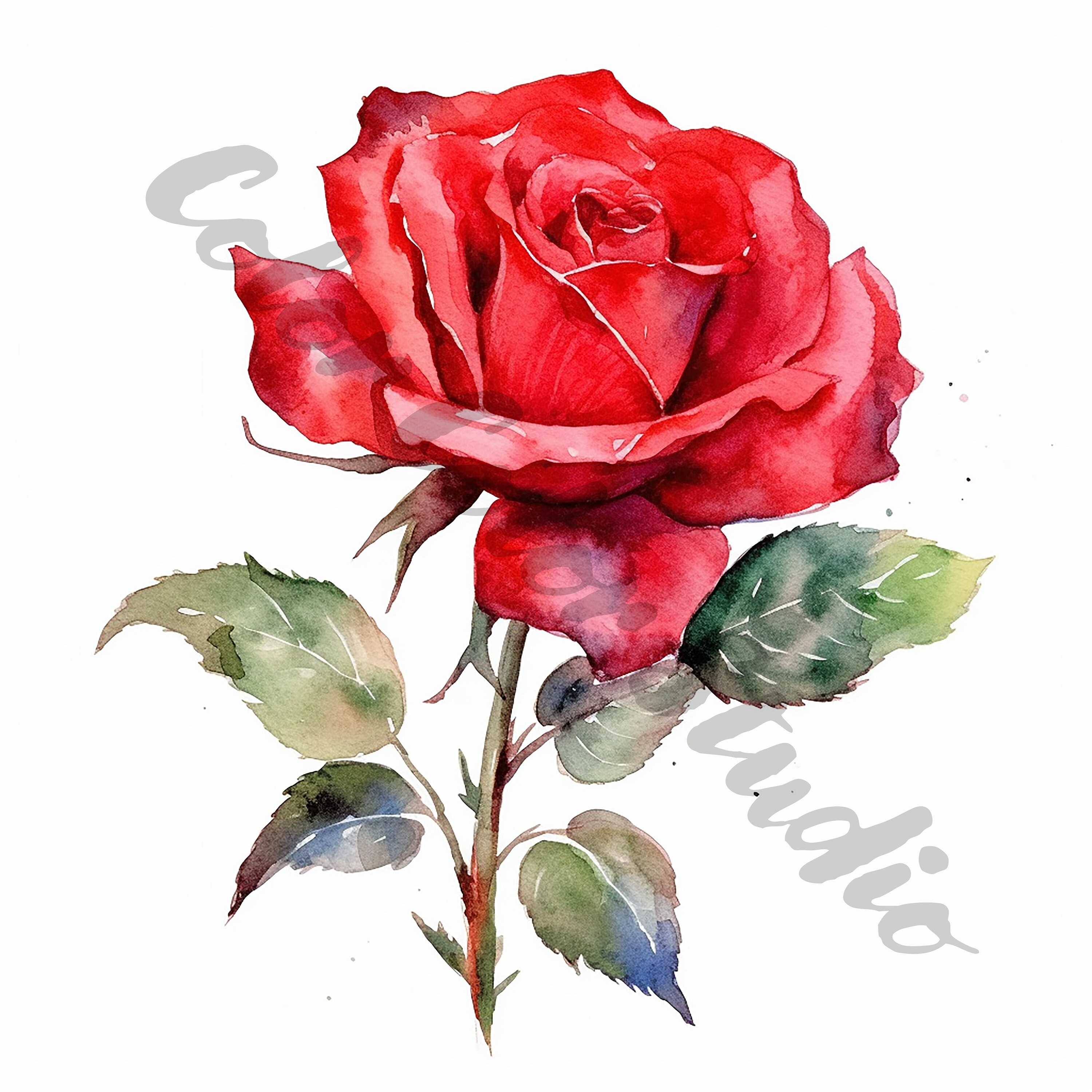 Watercolor Red Rose Clipart 16 High Quality Pngs Digital Download ...