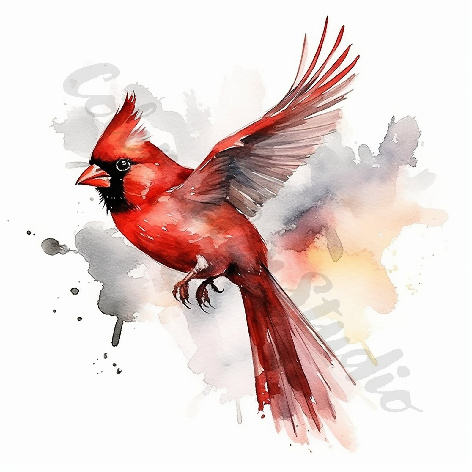 Watercolor Red Cardinal Bird Clipart - 16 High Quality Pngs - Digital ...