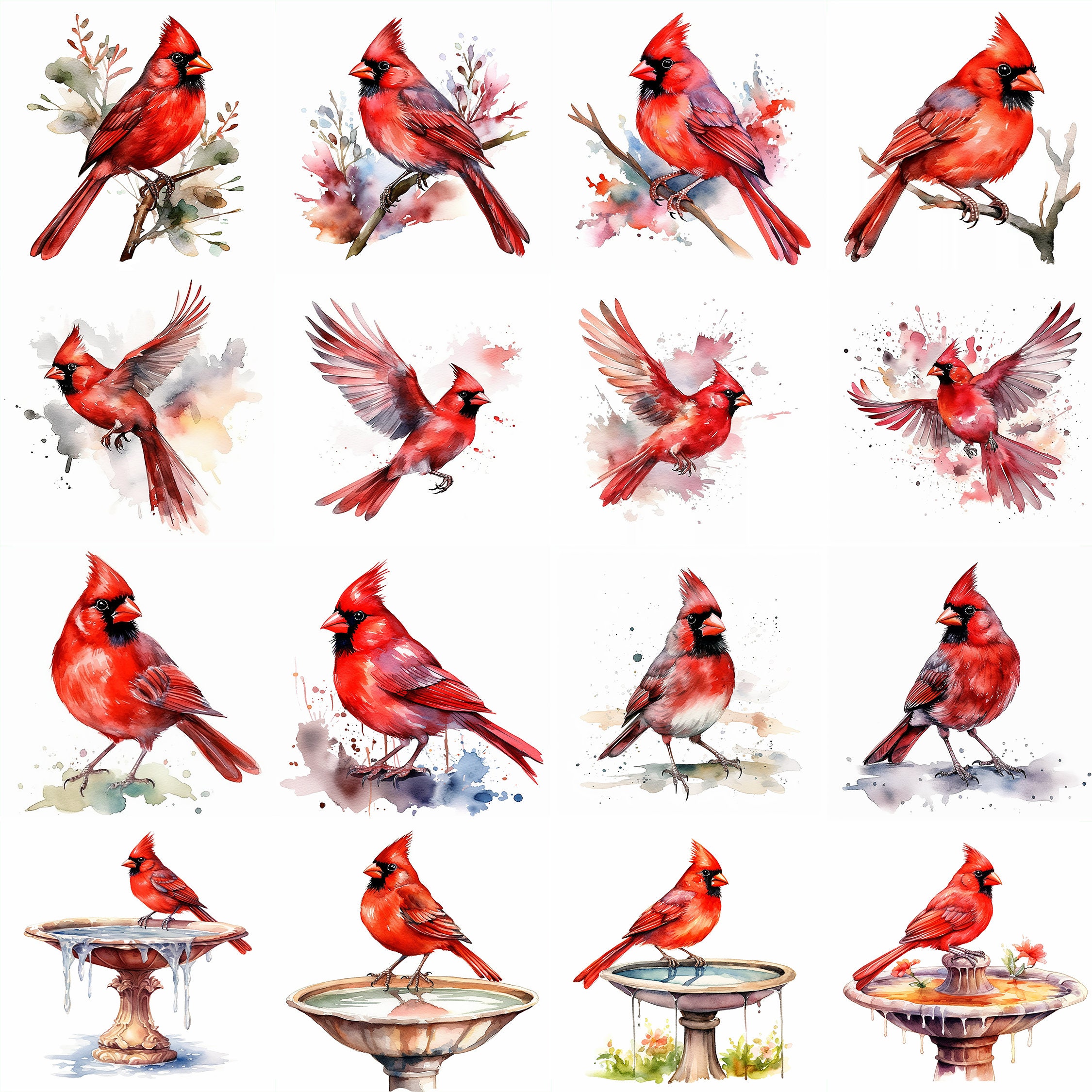 Watercolor Red Cardinal Bird Clipart - 16 High Quality Pngs - Digital ...