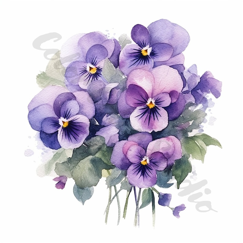 Watercolor Violets Clipart 16 High Quality Pngs Digital - Etsy