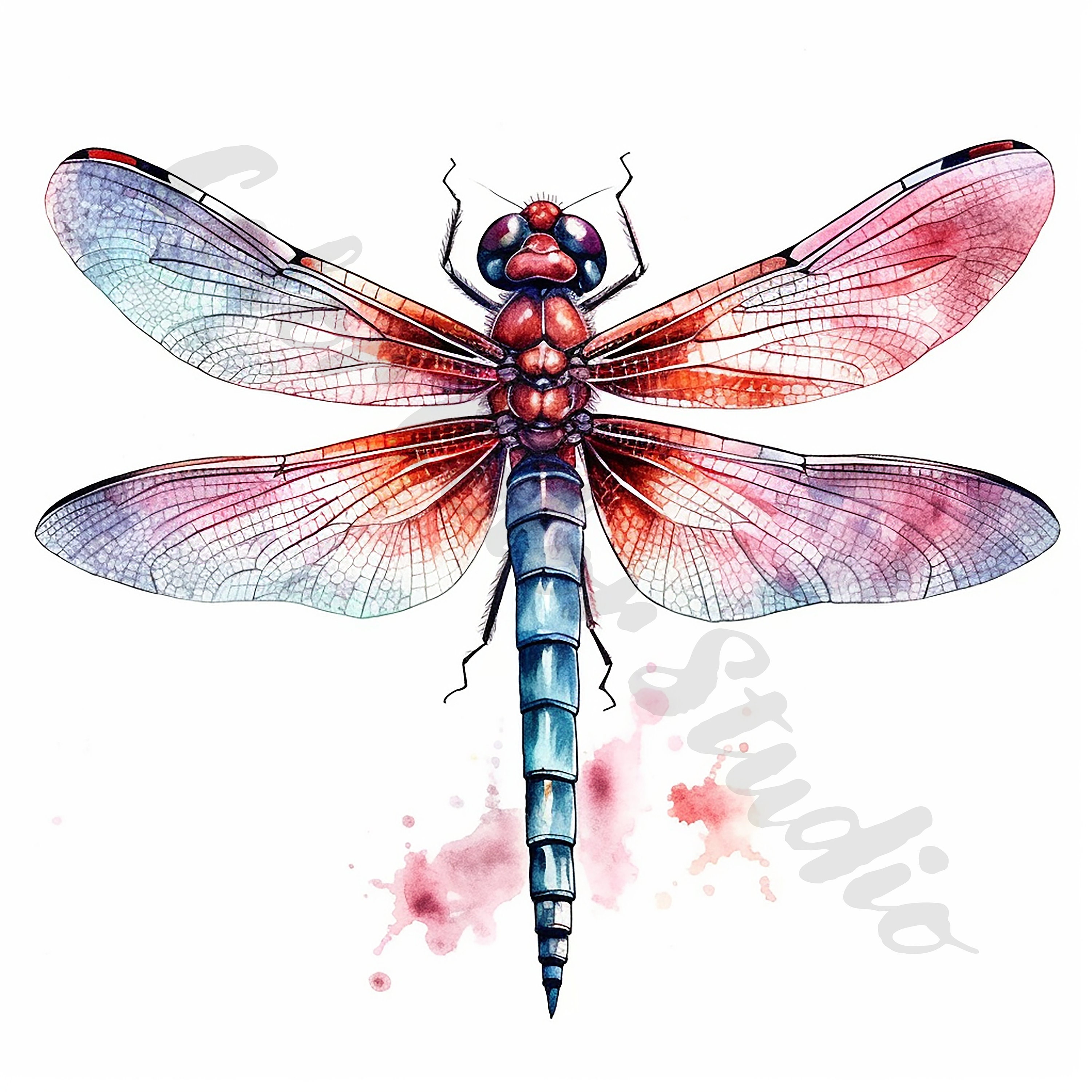 Watercolor Dragonfly Clipart 16 High Quality Pngs Digital - Etsy