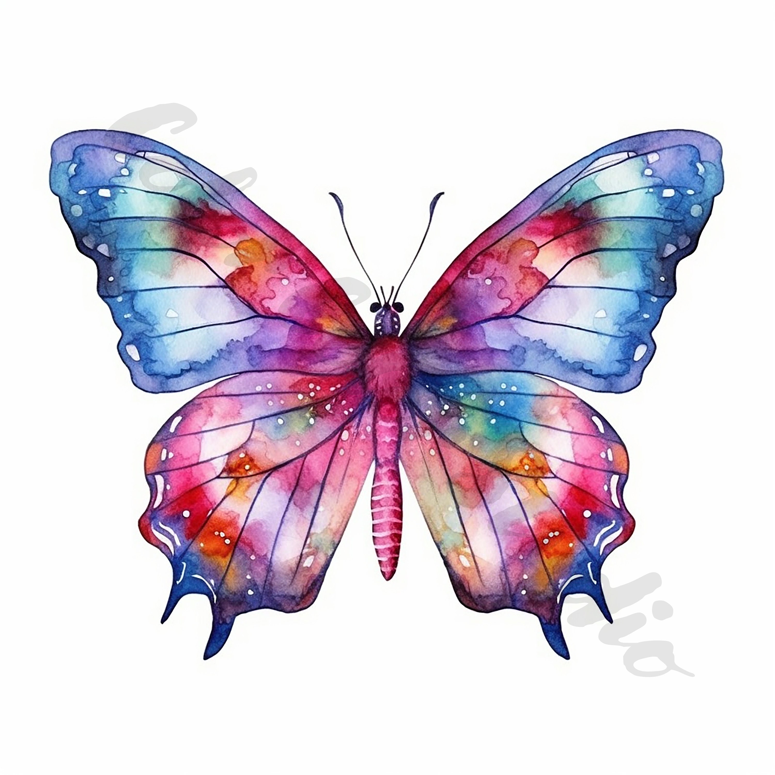 Watercolor Butterfly Clipart - 16 High Quality Pngs - Digital Download ...
