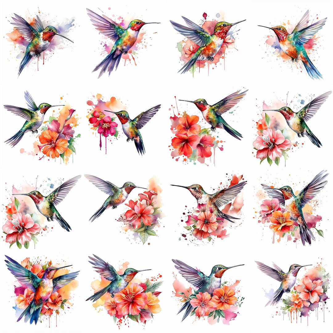Watercolor Hummingbird Clipart - 16 High Quality Pngs - Digital ...