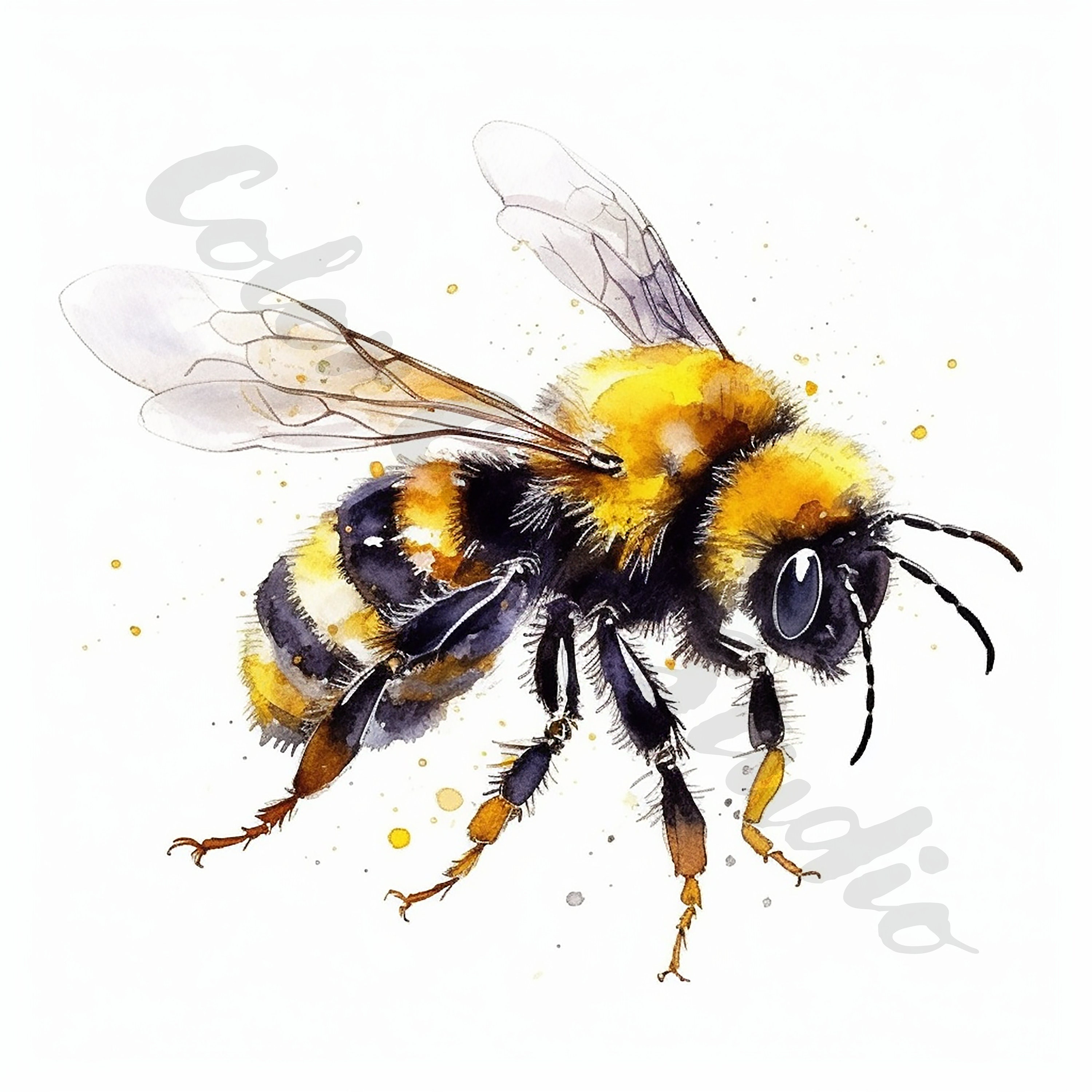 Watercolor Bumblebee Clipart 16 High Quality Pngs Digital - Etsy