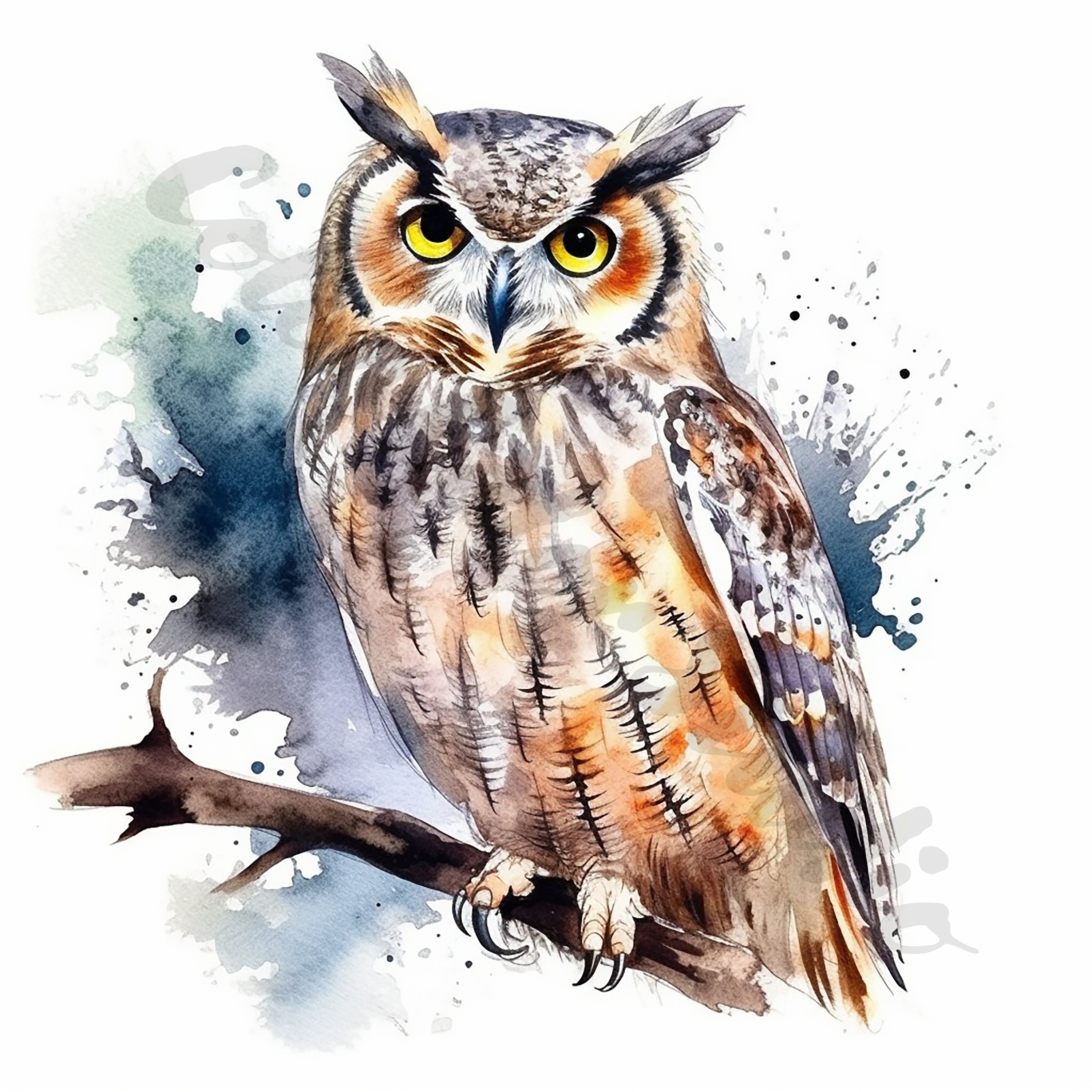Watercolor Owl Clipart 16 High Quality Pngs Digital Download Commercial ...