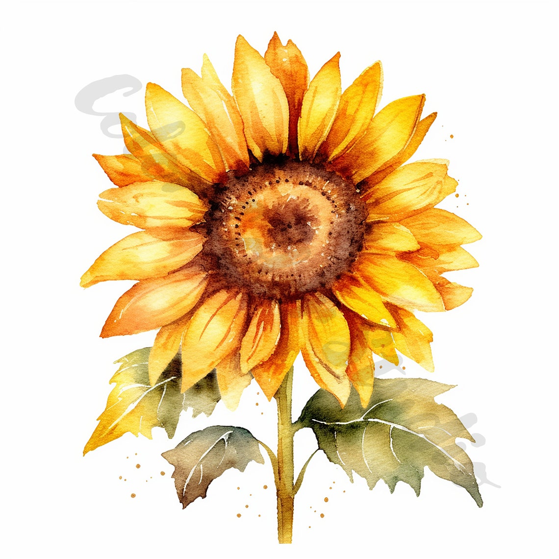 Watercolor Sunflower Clipart 16 High Quality Pngs Digital Download ...