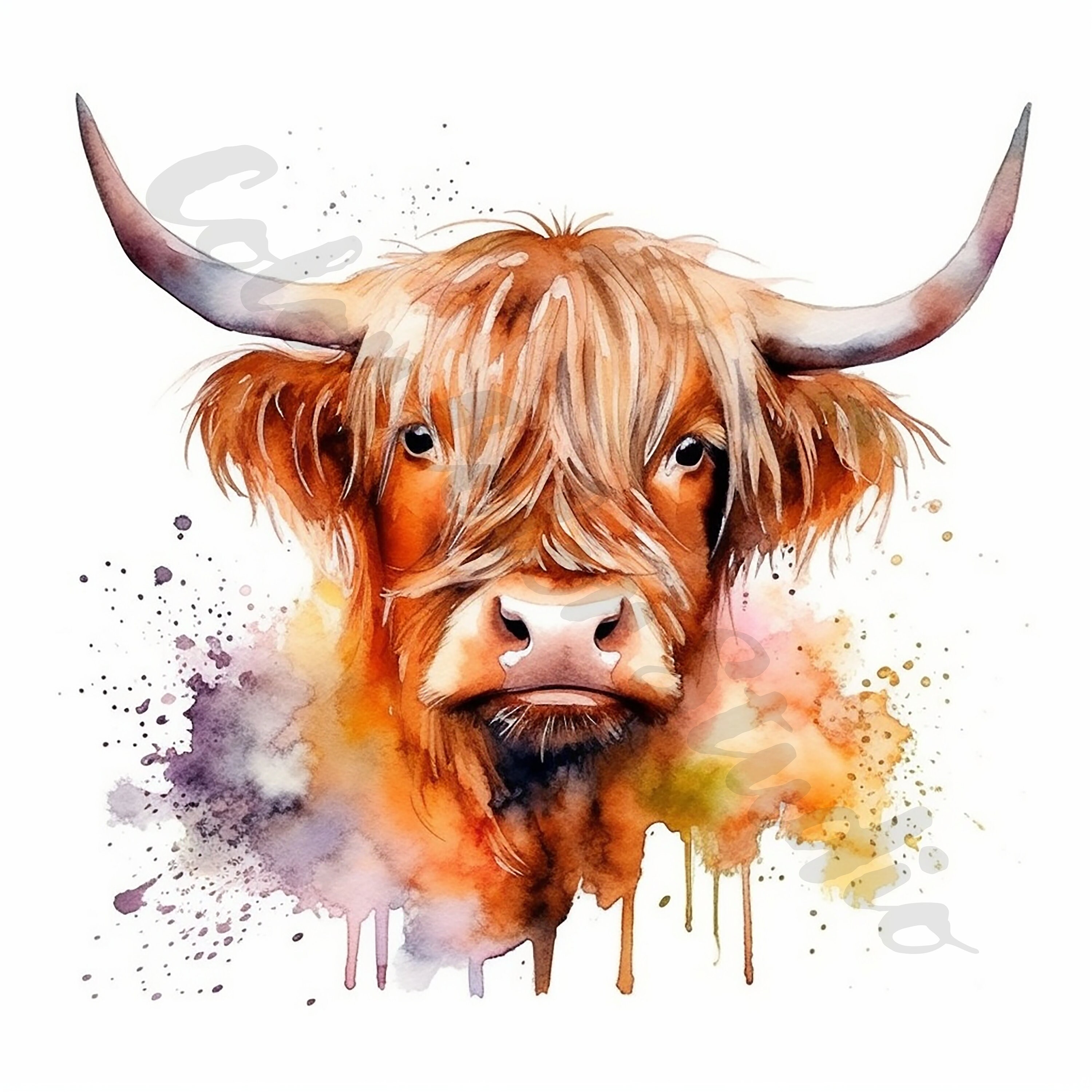 Watercolor Highland Cows Clipart 16 High Quality Pngs Digital Download ...