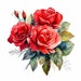 Watercolor Red Rose Clipart - 16 High Quality Pngs - Digital Download ...