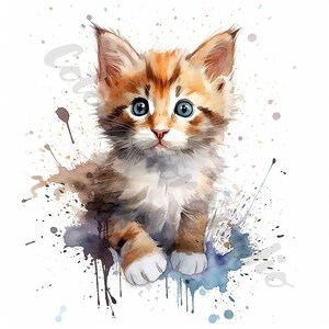 Watercolor Cute Kittens Clipart - 16 High Quality Pngs - Digital ...