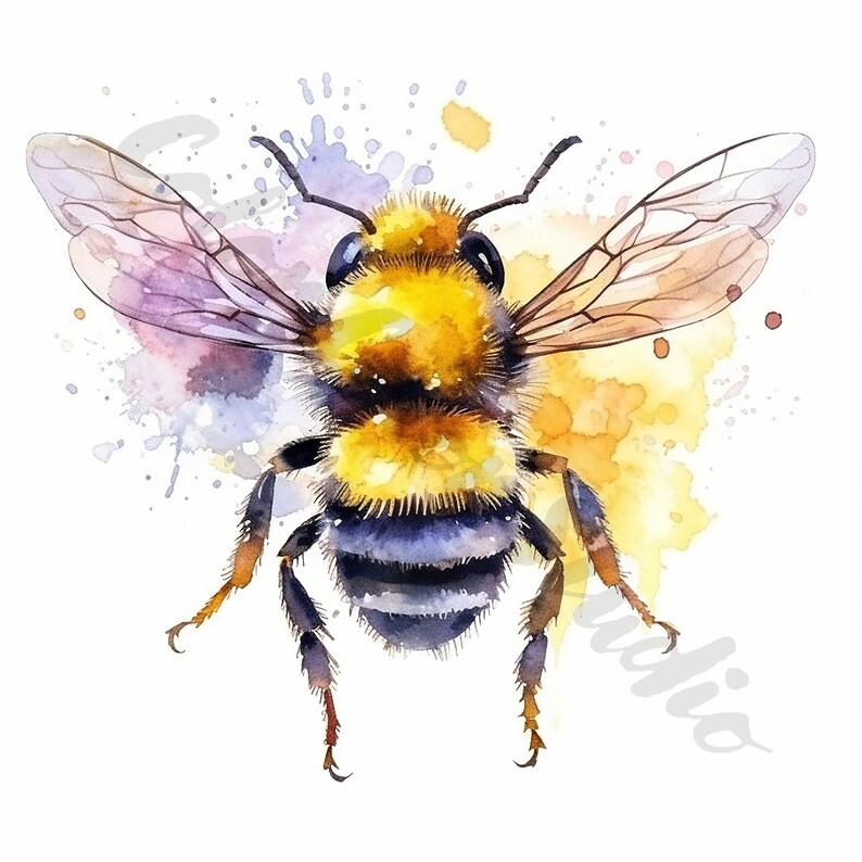 Watercolor Bumblebee Clipart 16 High Quality Pngs Digital - Etsy