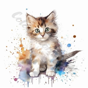 Watercolor Cute Kittens Clipart - 16 High Quality Pngs - Digital ...