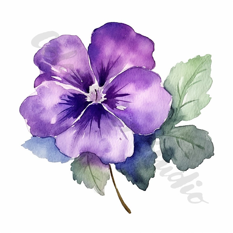 Watercolor Violets Clipart 16 High Quality Pngs Digital - Etsy