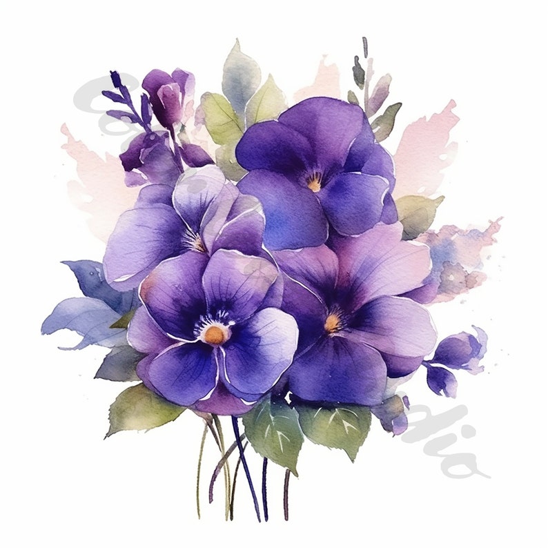 Watercolor Violets Clipart 16 High Quality Pngs Digital - Etsy