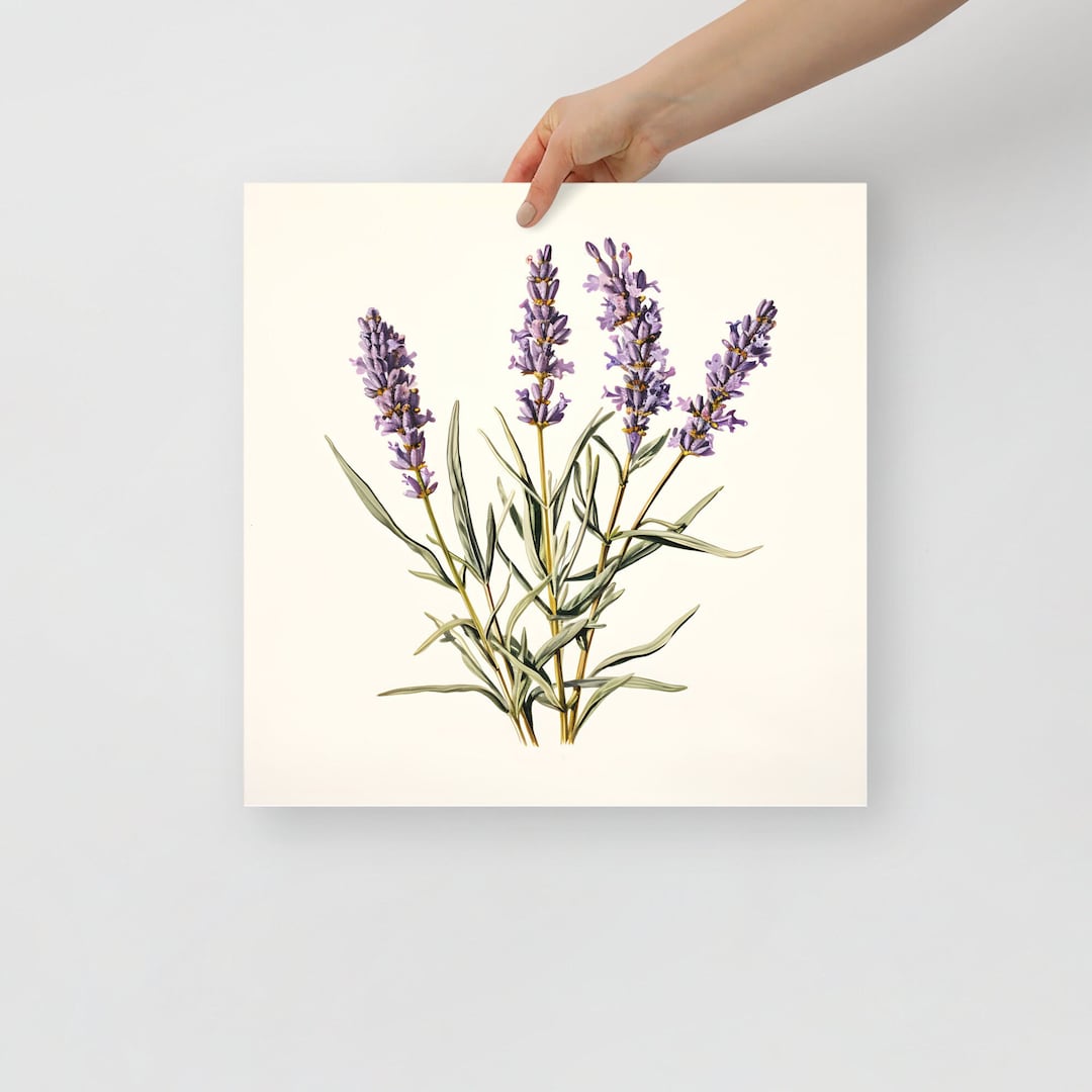 Lavender Art Print, Garden Art, Wildflower Art, Wall Art, Floral ...