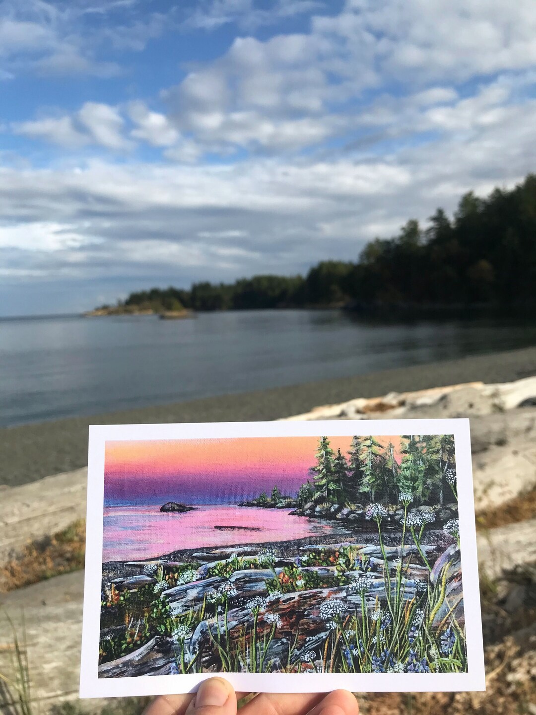 Vancouver Island Postcard Set | 5-pack of 4x6" Art Print Postcards on ...