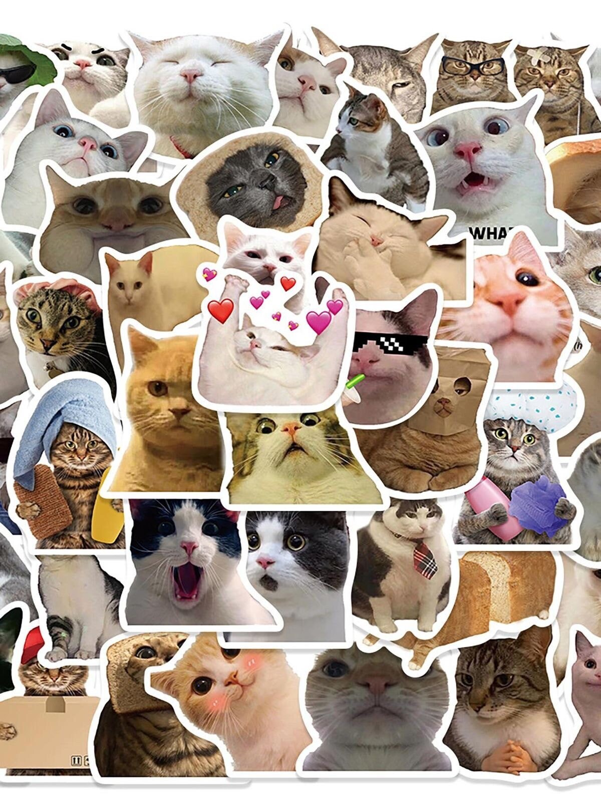 25 FUNNY CAT STICKERS , Cats, Pets, Phone Case, Water Bottle, Hydro ...