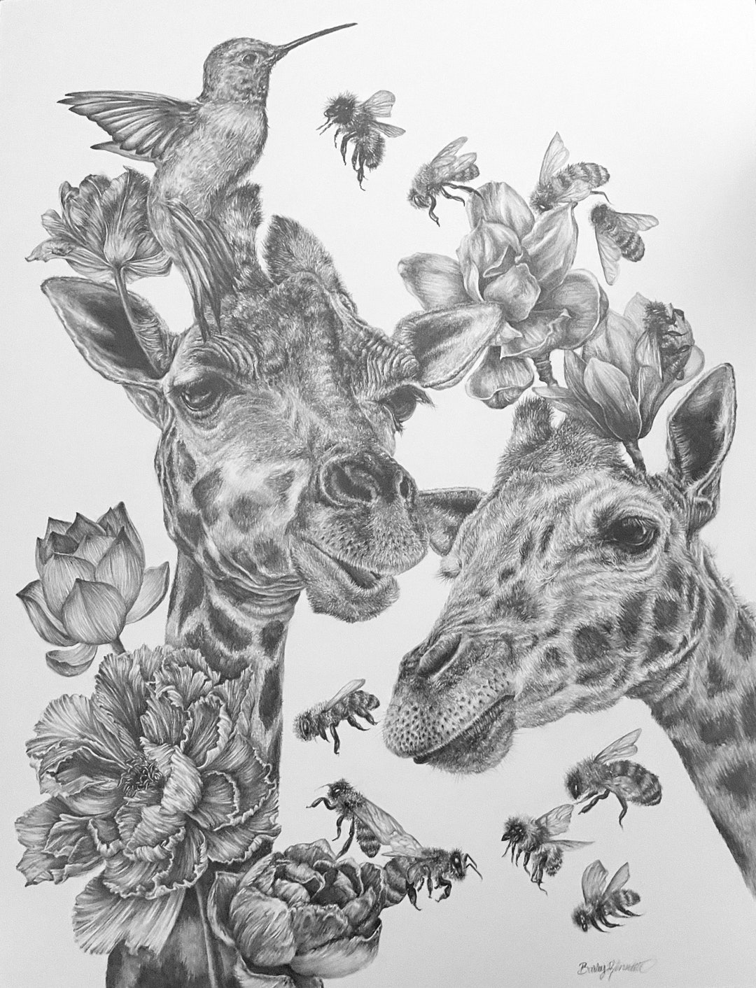 Giraffe Drawing 15in X 20in, Graphite Animal Drawing - Etsy