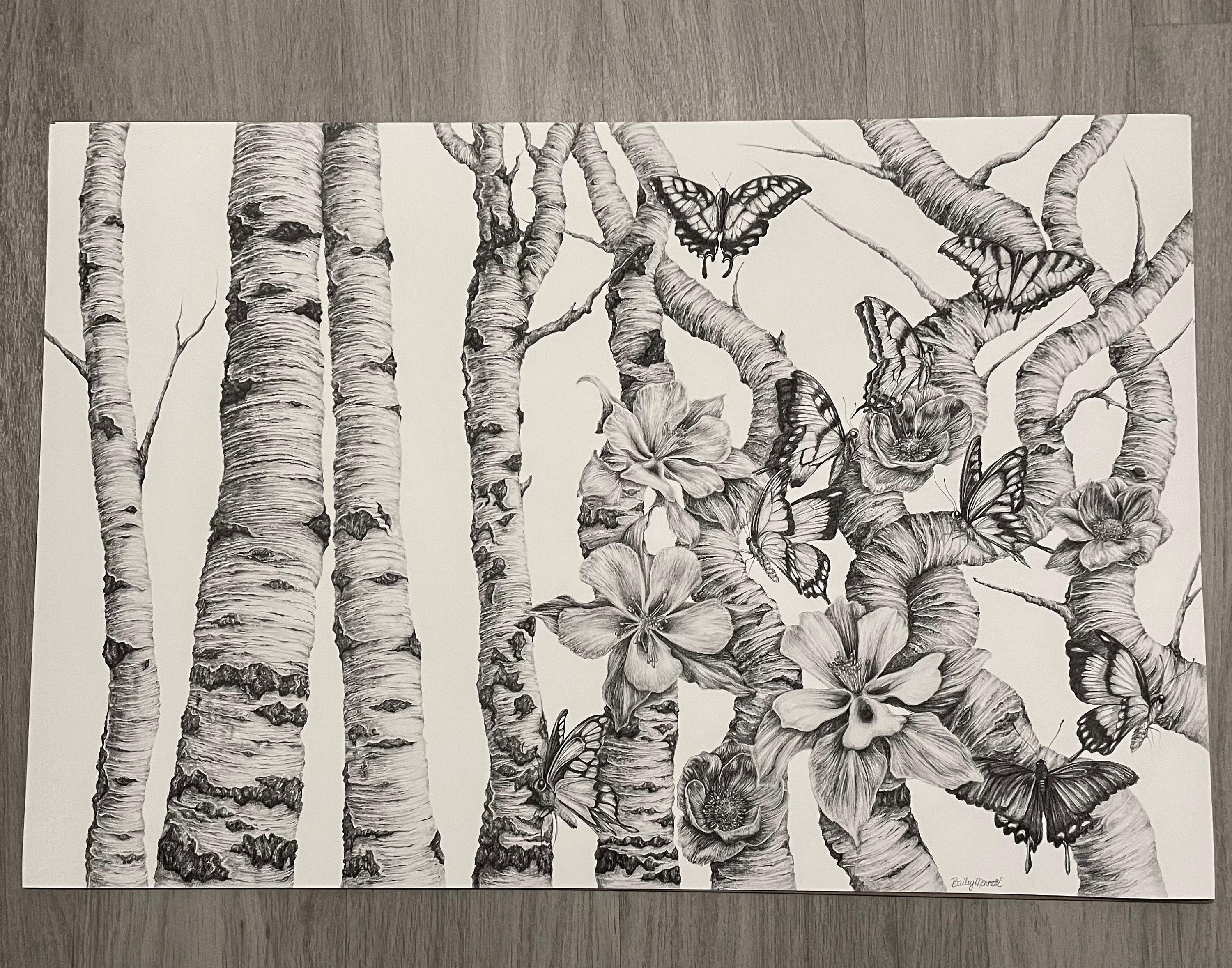 Twisted Aspen Tree Graphite Drawing - Large - Etsy