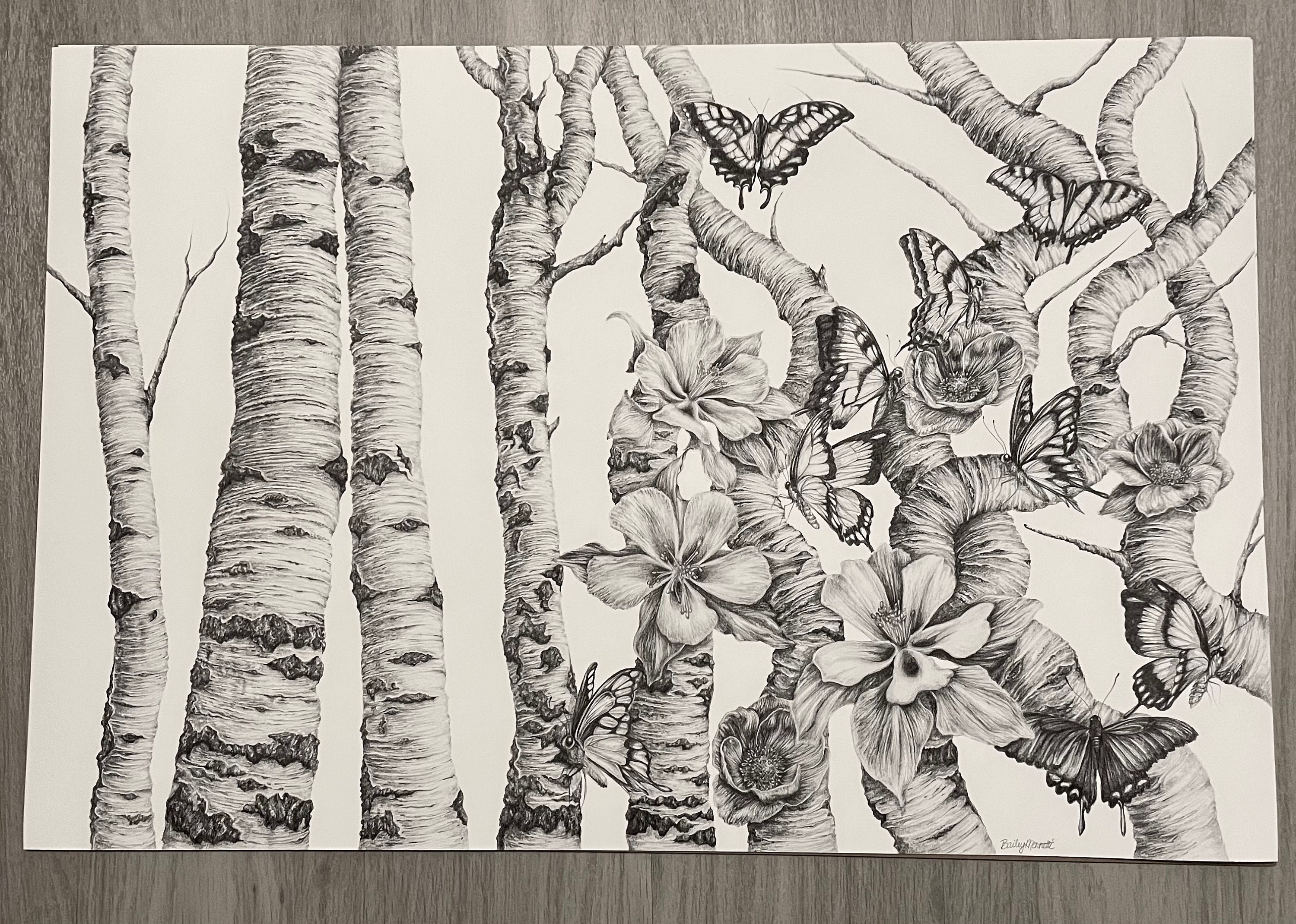 Twisted Aspen Tree Graphite Drawing Large - Etsy