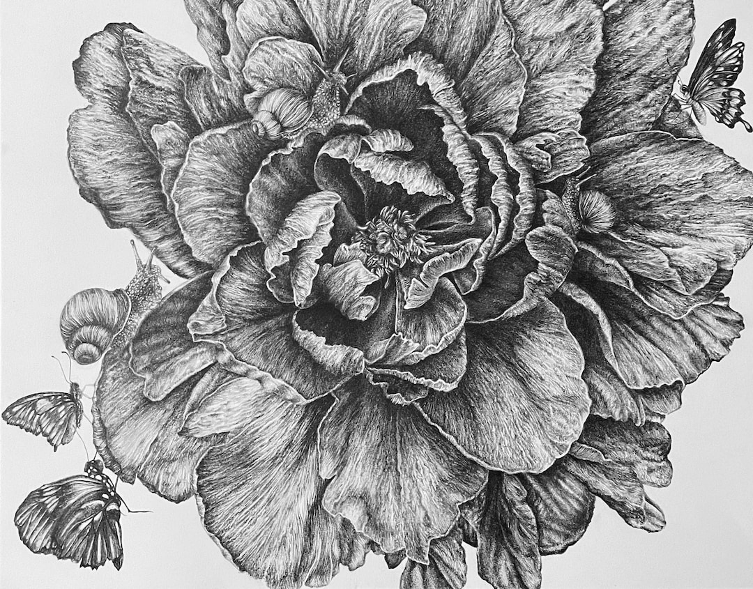 Flower Graphite Drawing - Etsy
