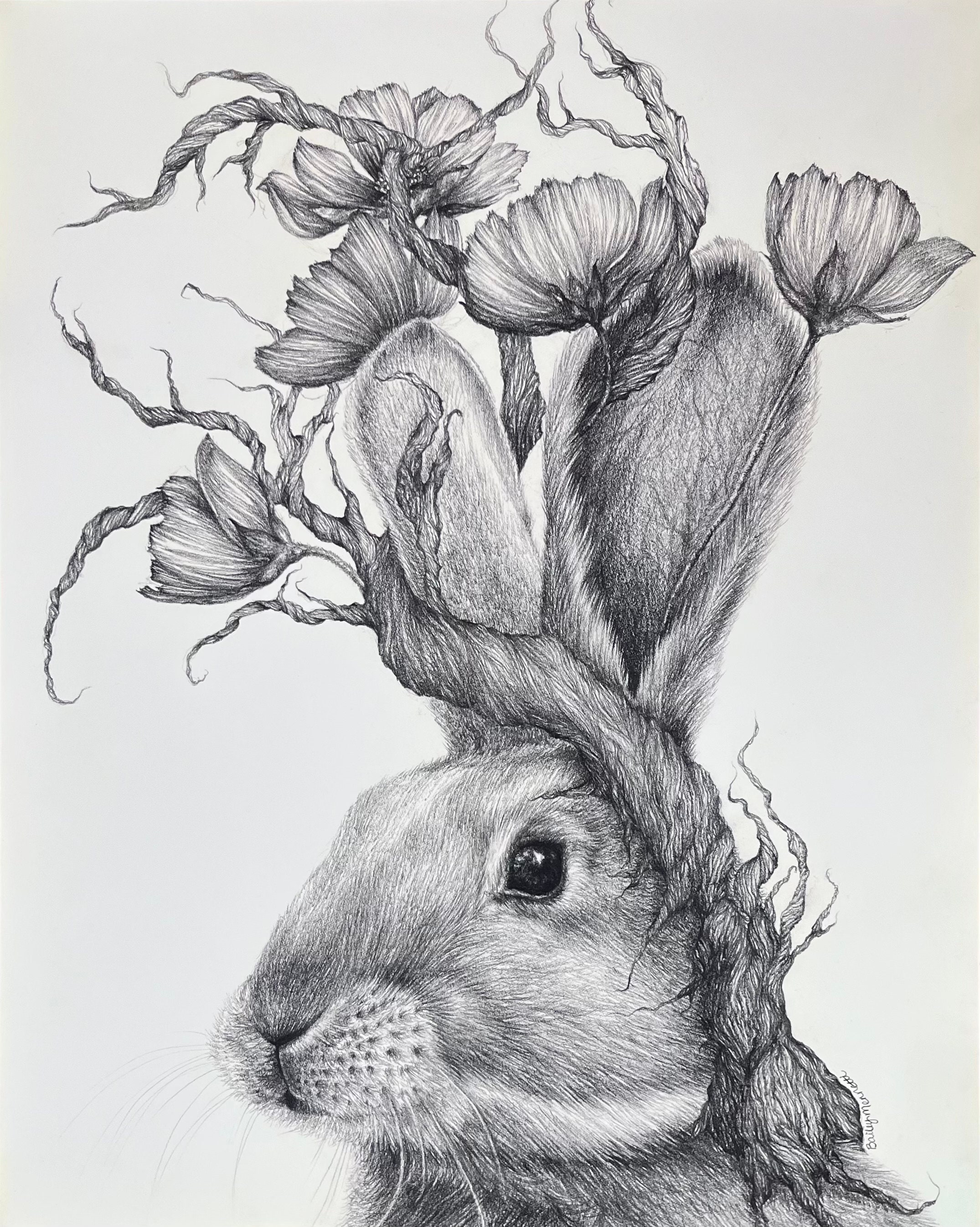 Surreal Rabbit Drawing, Graphite Drawing, Animal Drawing - Etsy