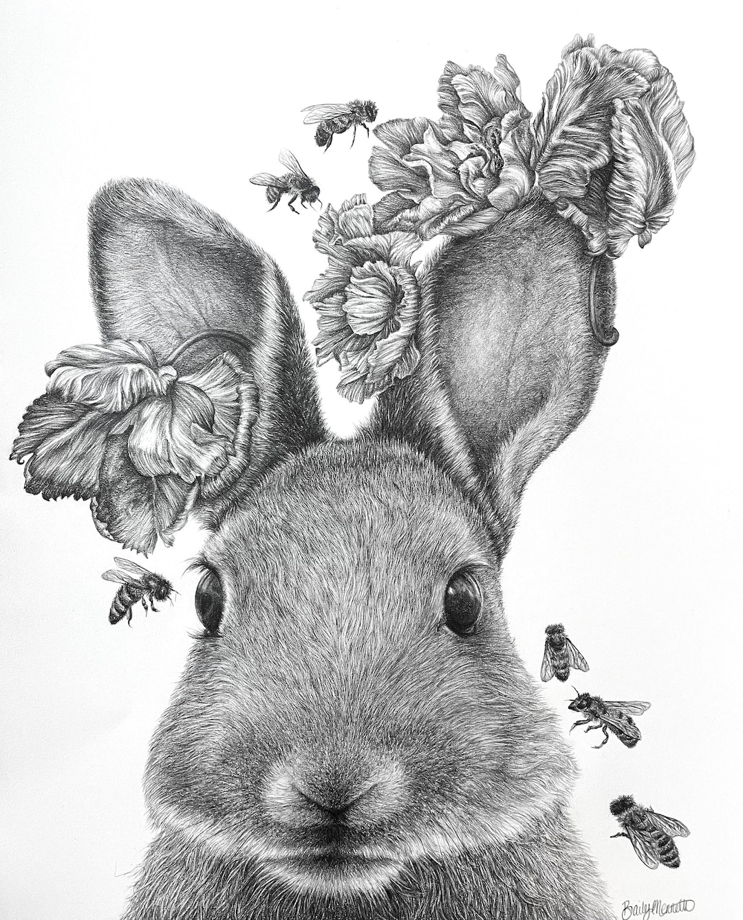 Bunny Graphite Drawing, Rabbit Drawing, 16in X20in - Etsy