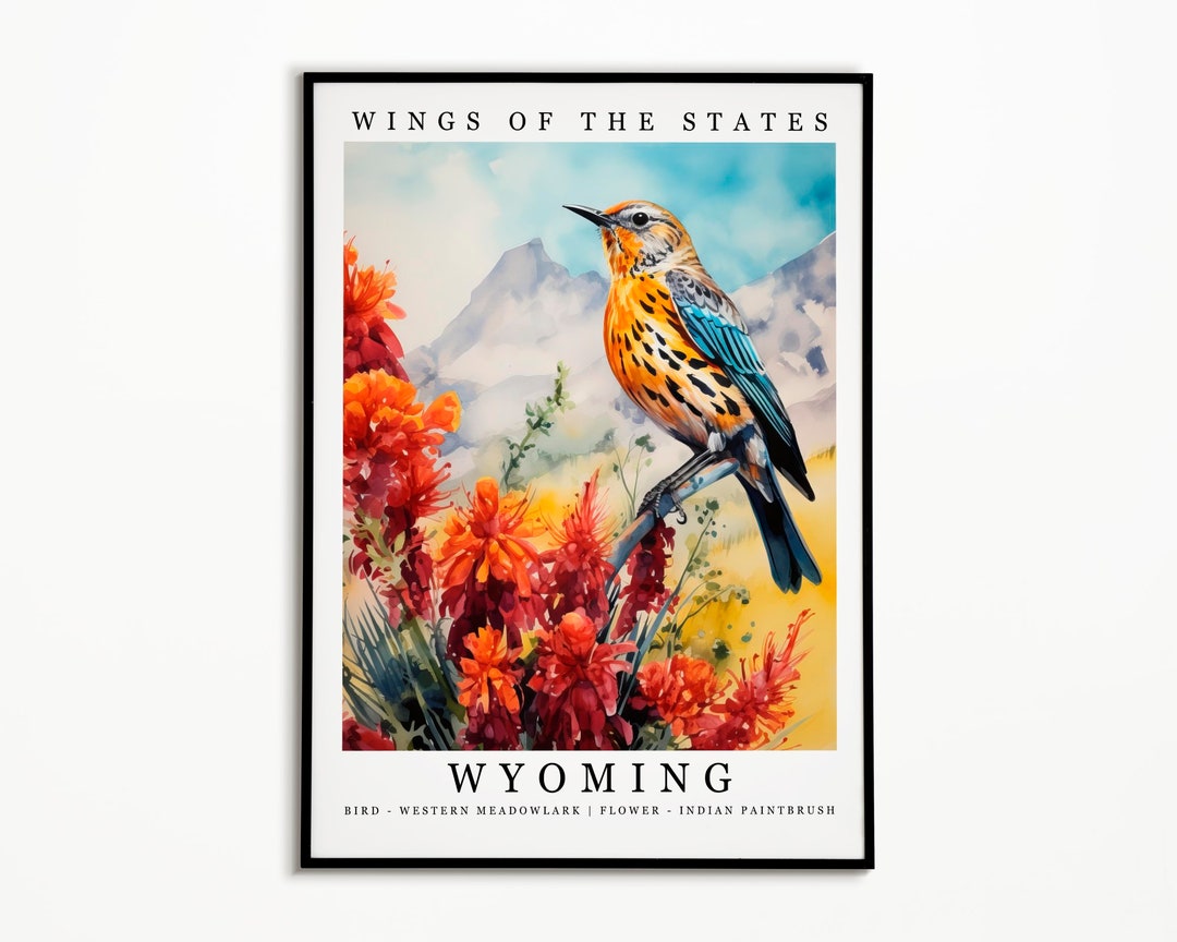 Wyoming State Bird - Western Meadowlark and State Flower - Indian ...