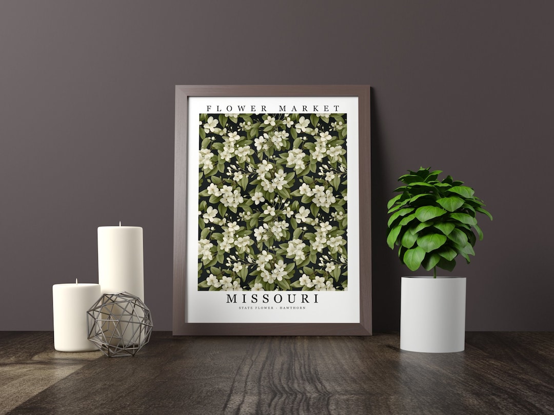 Missouri State Flower - Hawthorn Wall Art Print Flower Market Poster ...